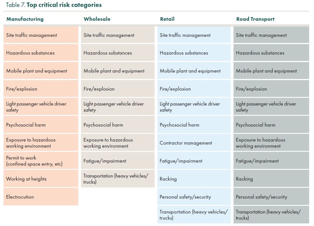 Critical Risks - ShopCare